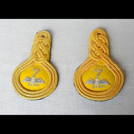 Cavalry 7th embroidery shoulder boards COLONEL 1874
