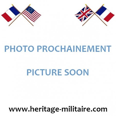 Officer Sabretache 3rd Hussard French cavalry 1st Empire